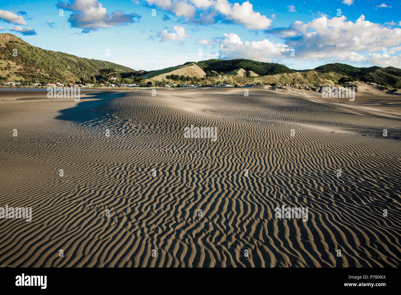 Sand dunes at Port Waikato, New Zealand Stock Photo - Alamy