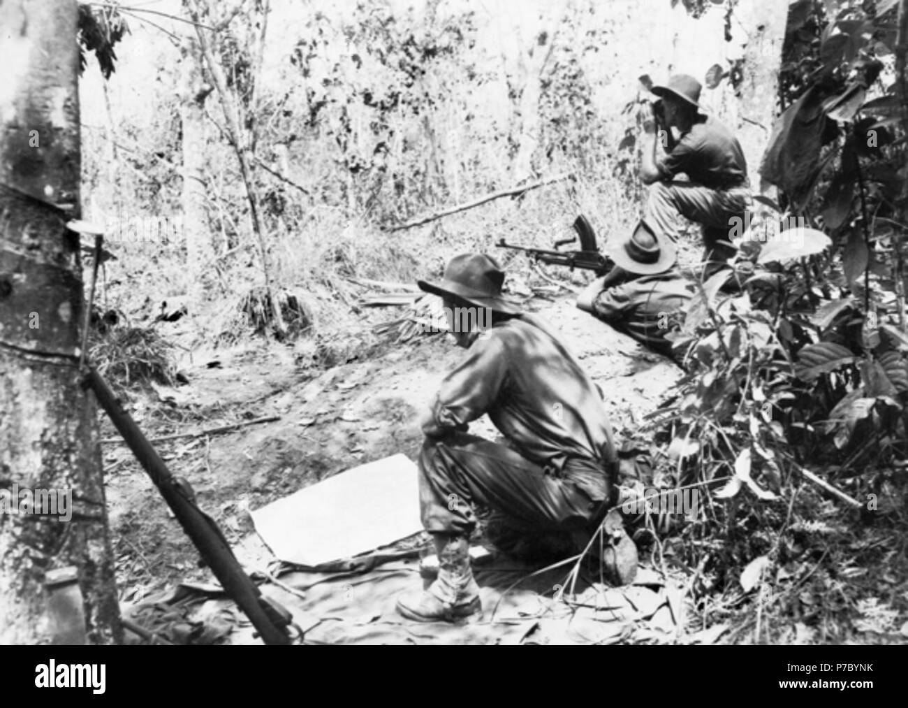 The 43rd battalion hi-res stock photography and images - Alamy