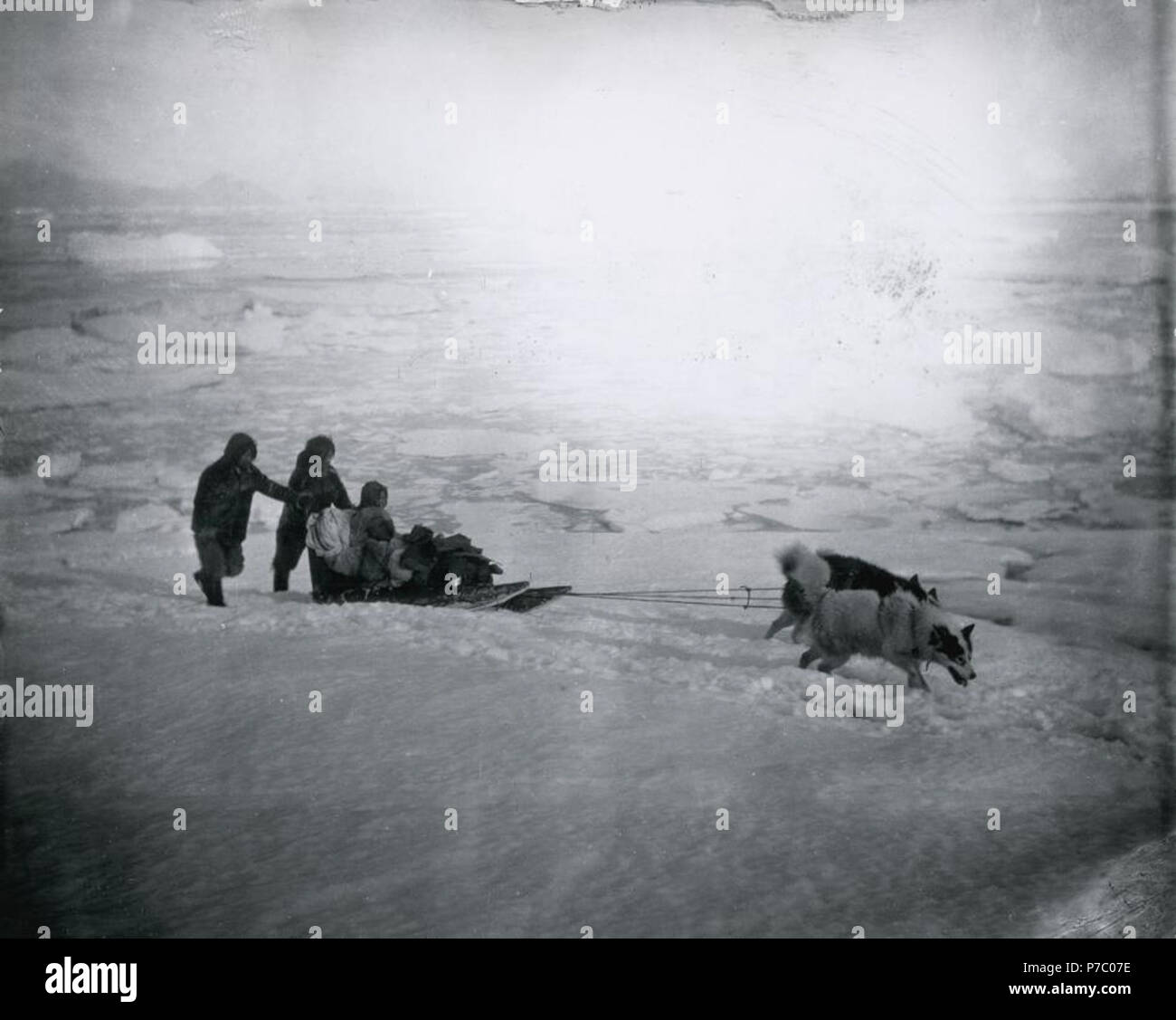 English: sled dogs pulling Inuit travelers on a sledge . 1890s 76 Sled ...