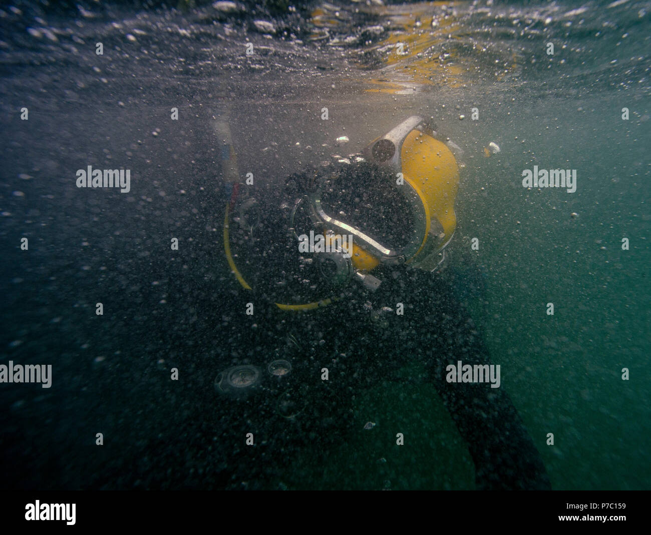 A U.S Army Diver assigned to 7th Dive Detachment enters the water ...
