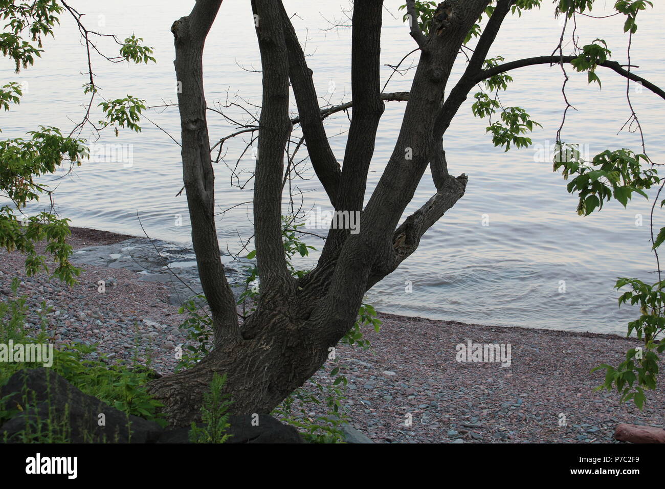 Land, Lake, Bridge Stock Photo - Alamy
