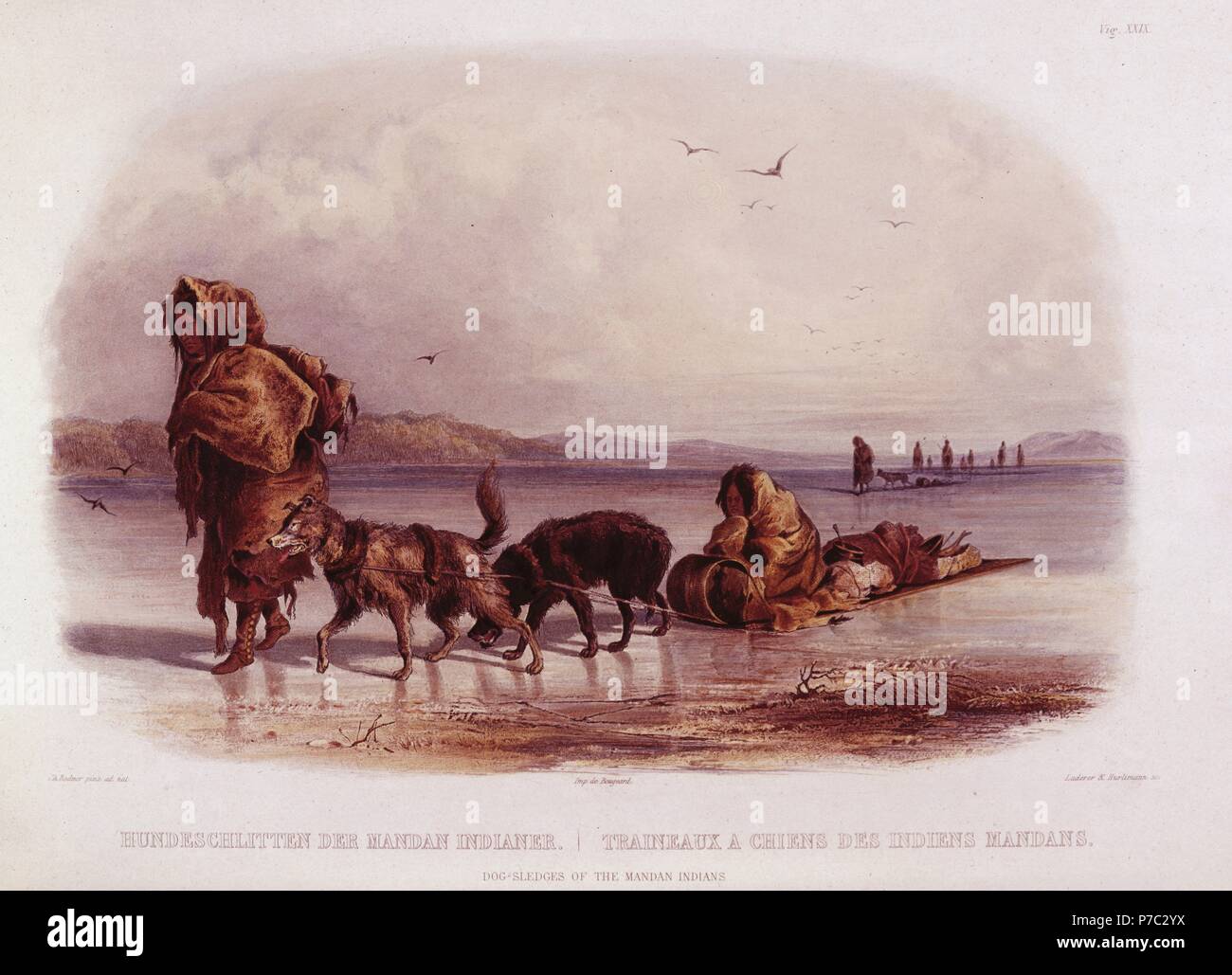 Trineo de perros de los indios Mandan. Museum: FREE LIBRARY PHILADELPH ...