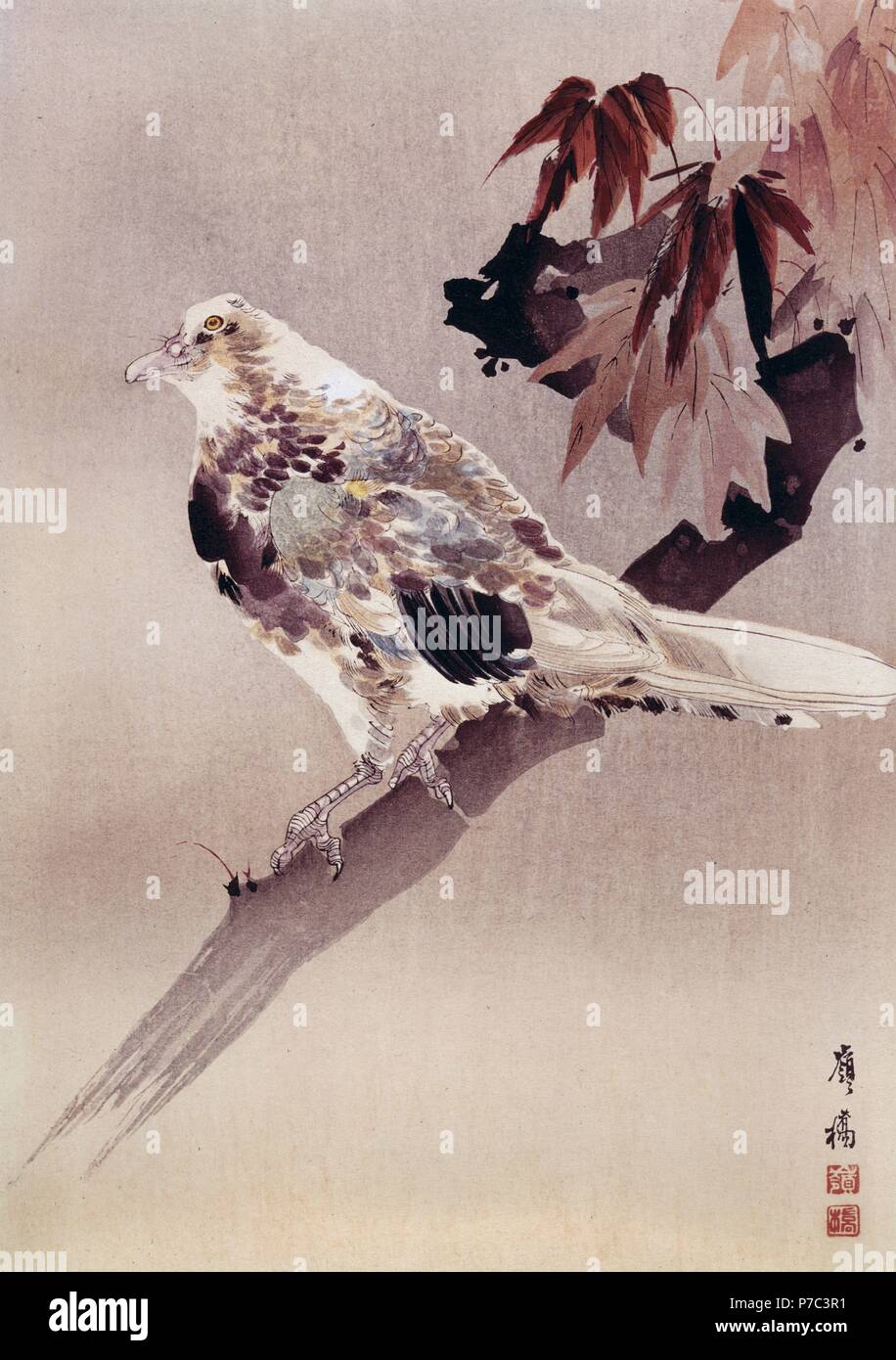 Animal rechoncho hi-res stock photography and images - Alamy