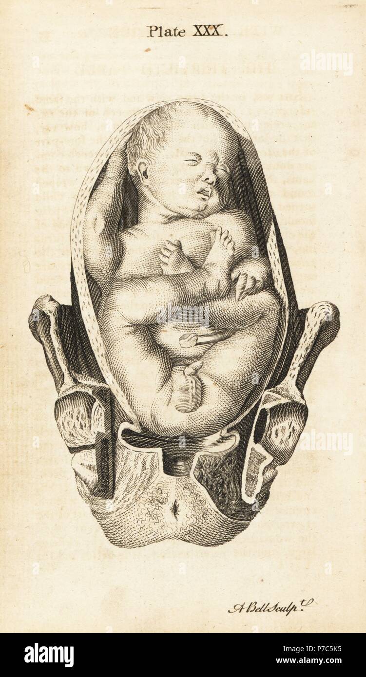 Breech birth hi-res stock photography and images - Alamy