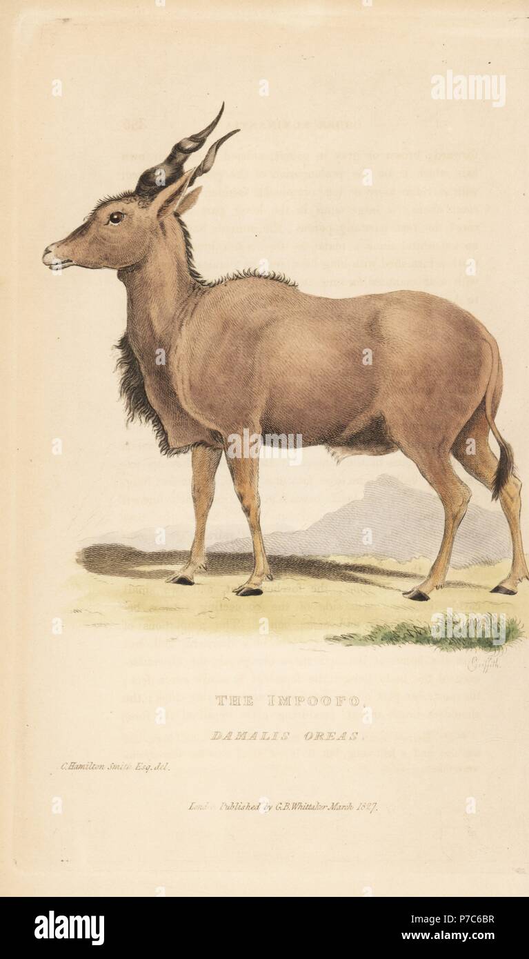 Charles griffith hi-res stock photography and images - Alamy