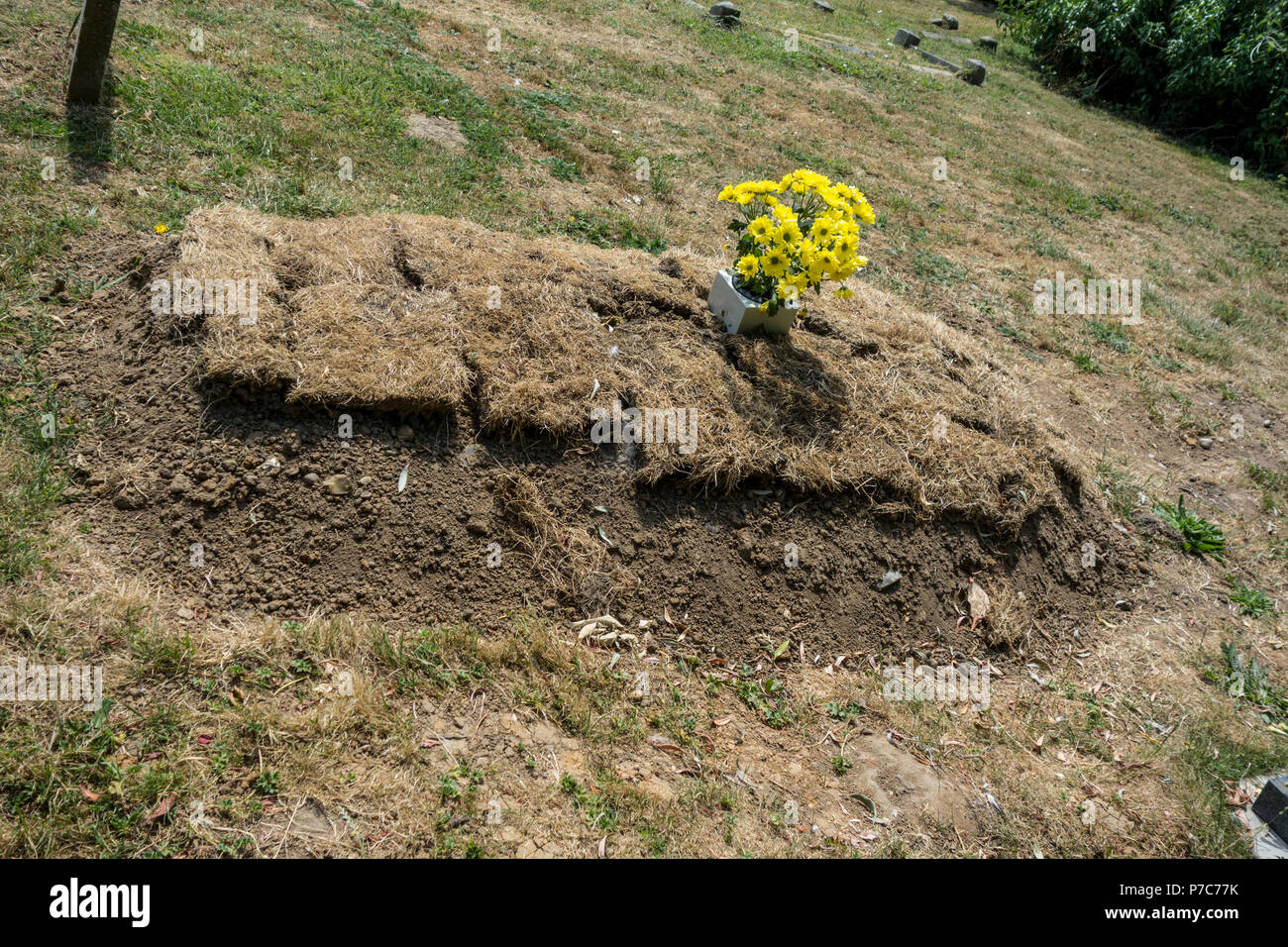 Runham church norfolk hi-res stock photography and images - Alamy