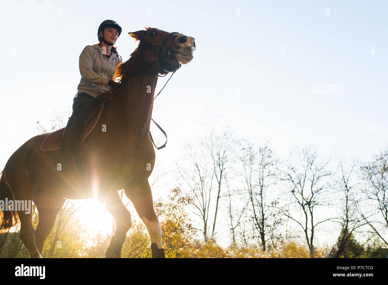 Young pretty girl riding a horse Stock Photo - Alamy
