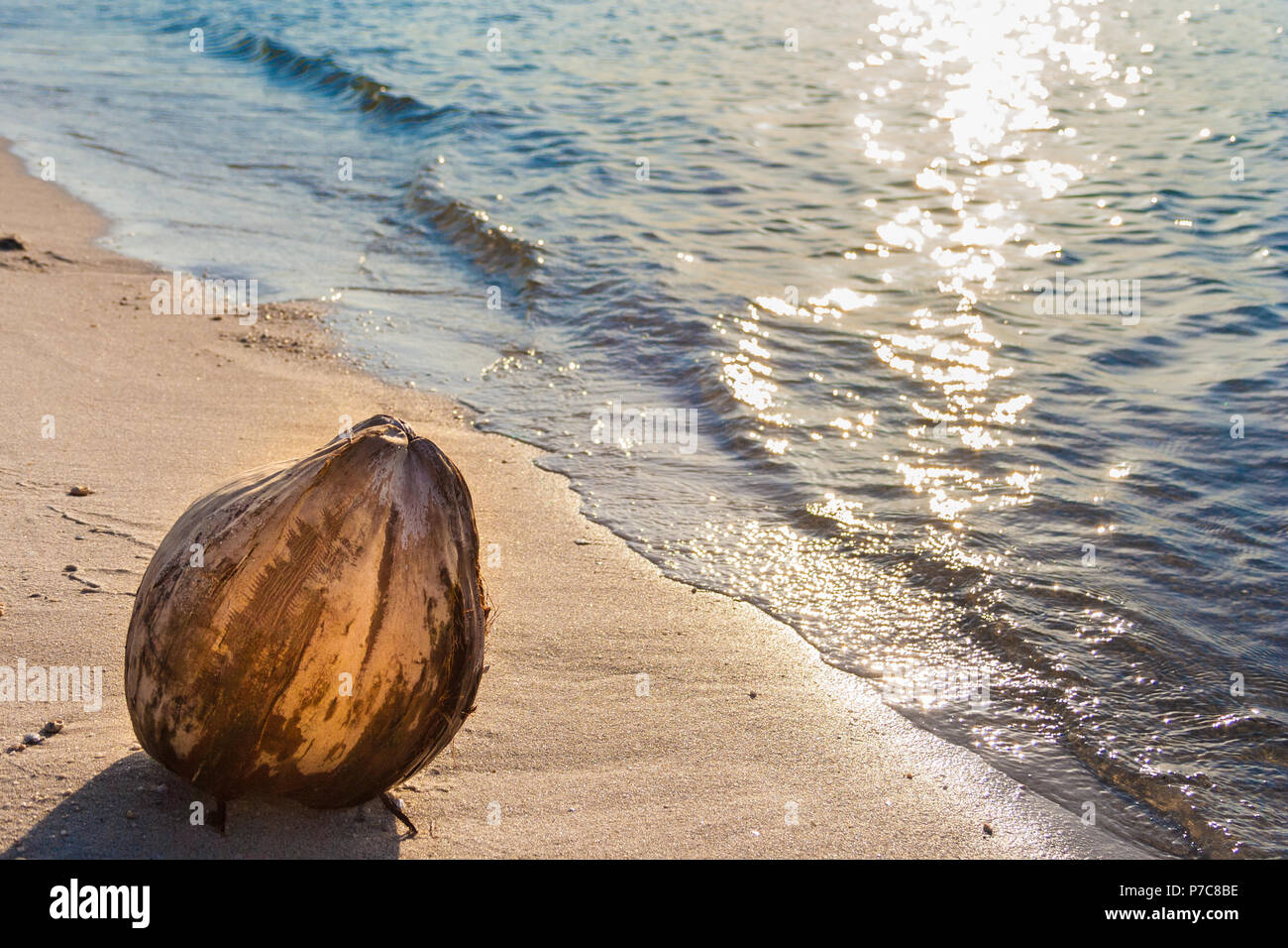 Wave washed beach hi-res stock photography and images - Alamy