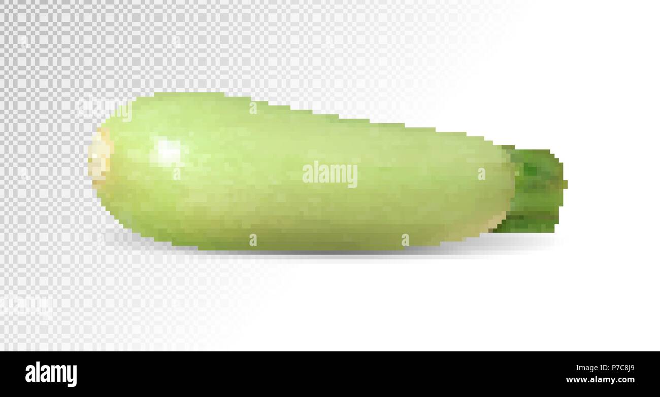 One green marrow. Realistic vector on transparent background, 3d ...