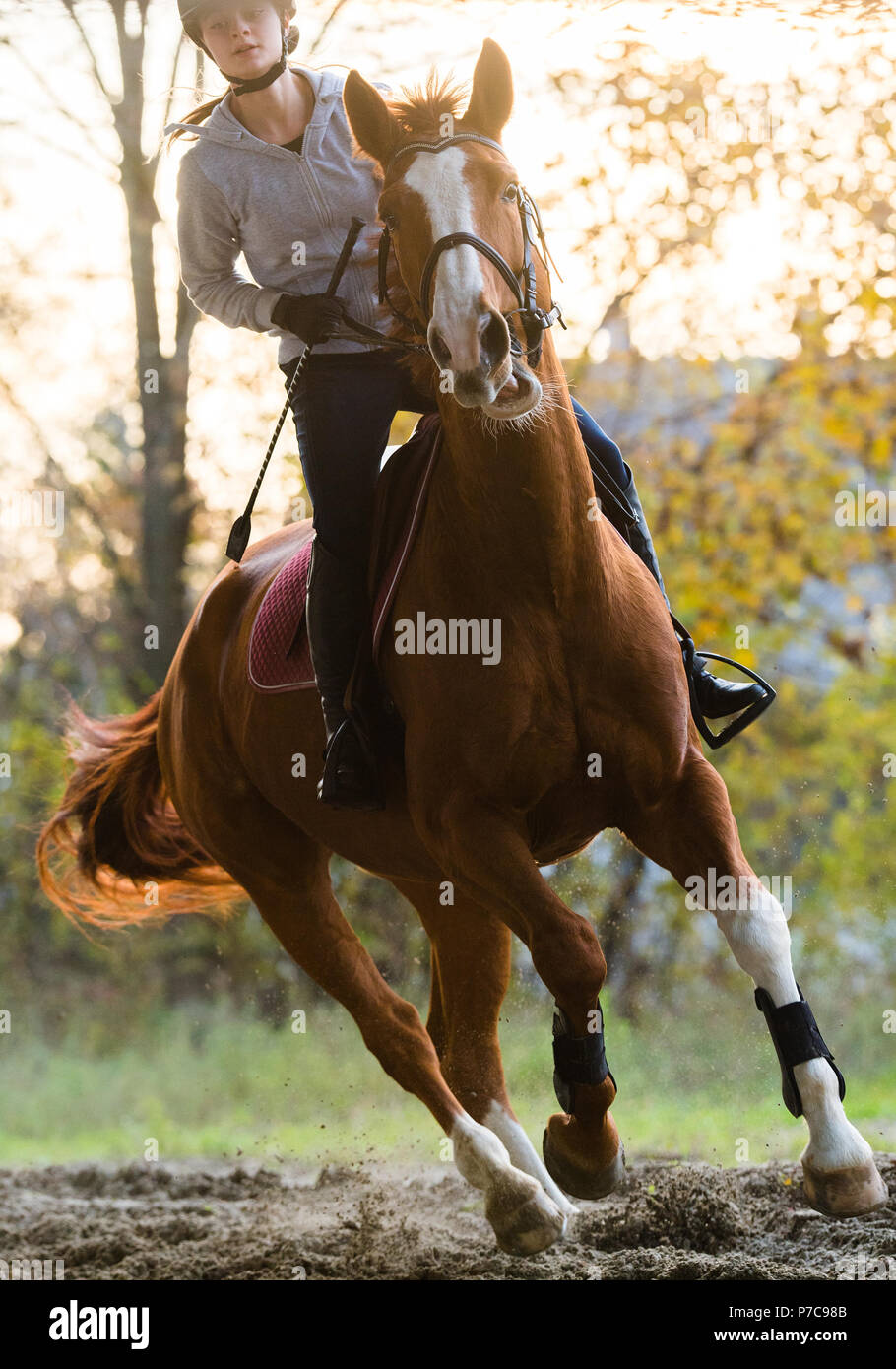 Young pretty girl riding a horse Stock Photo - Alamy