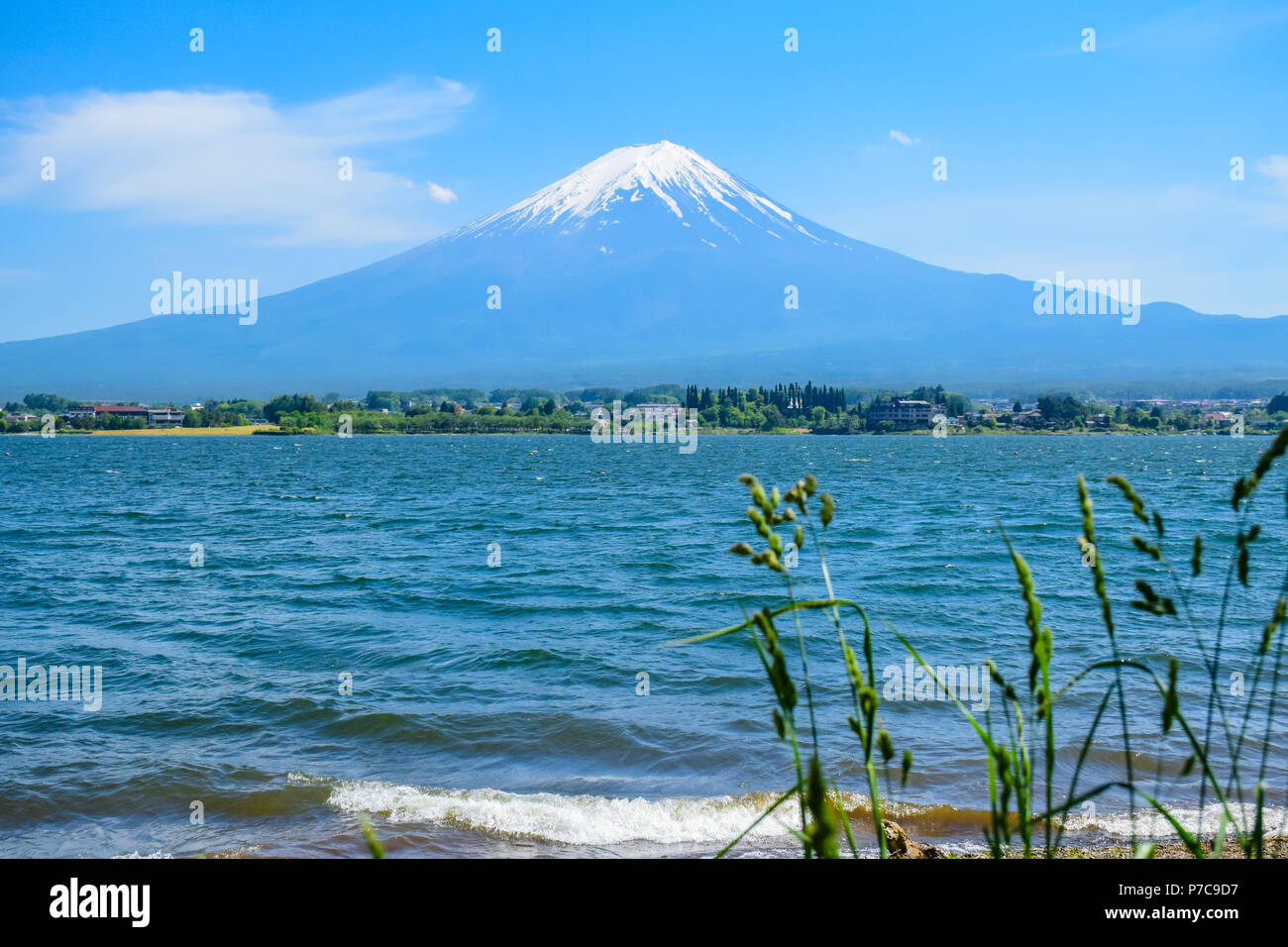 The famous mount Fuji view in the clear blue sky from Kawaguchiko lake ...