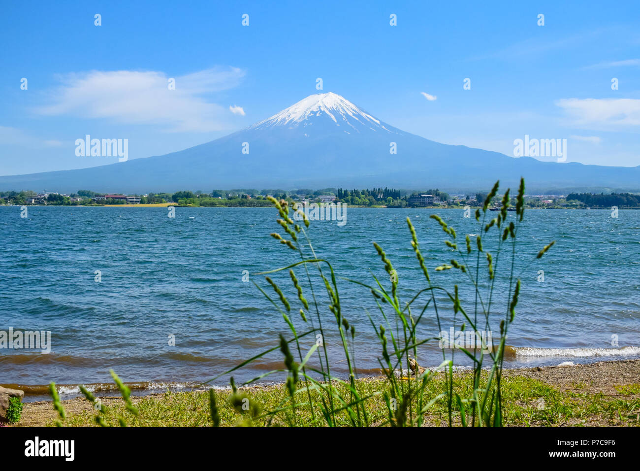 The famous mount Fuji view in the clear blue sky from Kawaguchiko lake ...