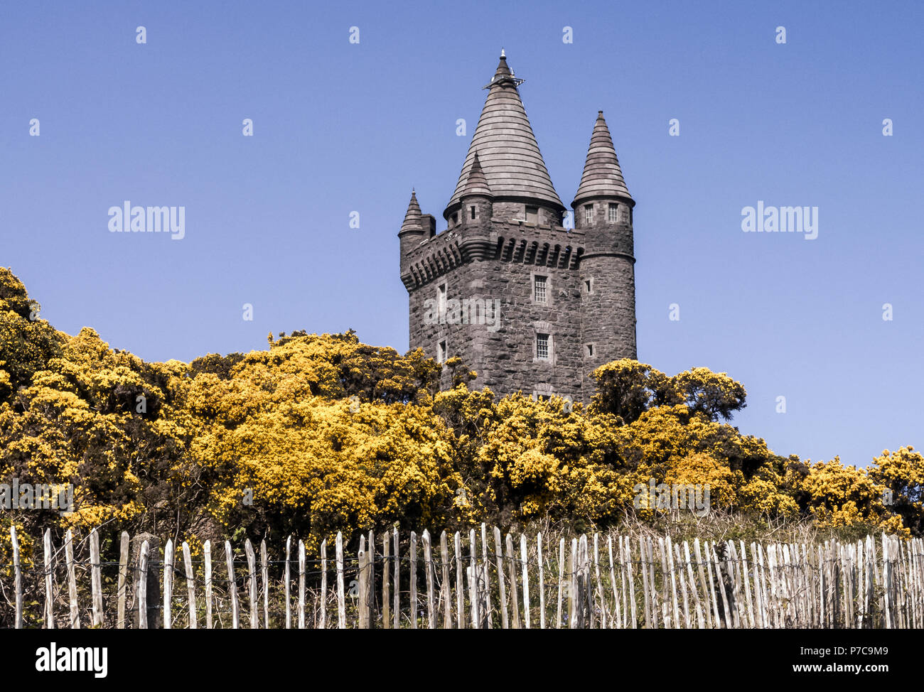 Newtownards northern ireland hi-res stock photography and images - Alamy