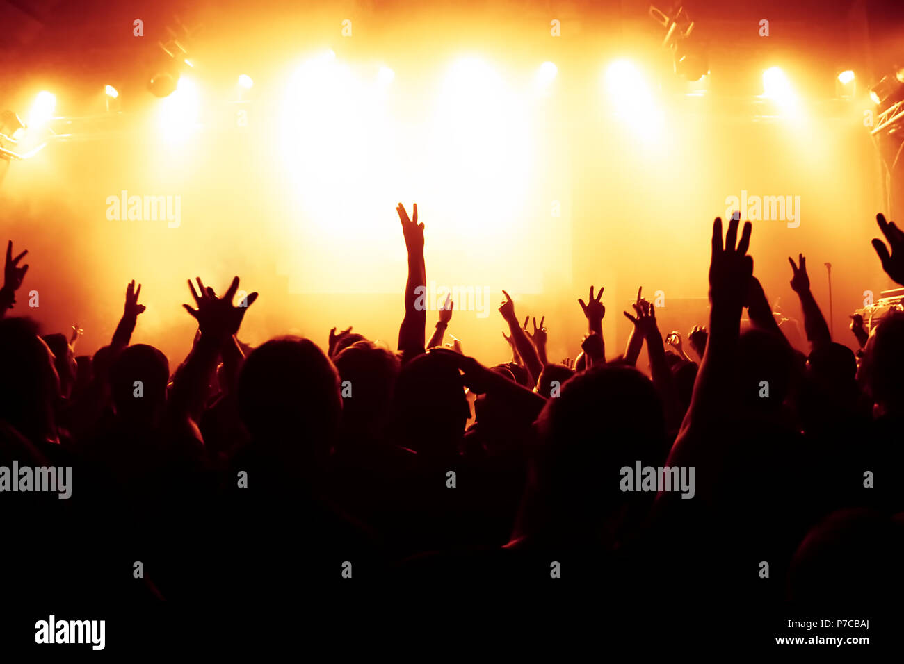 Crowd Of People Cheering At A Concert