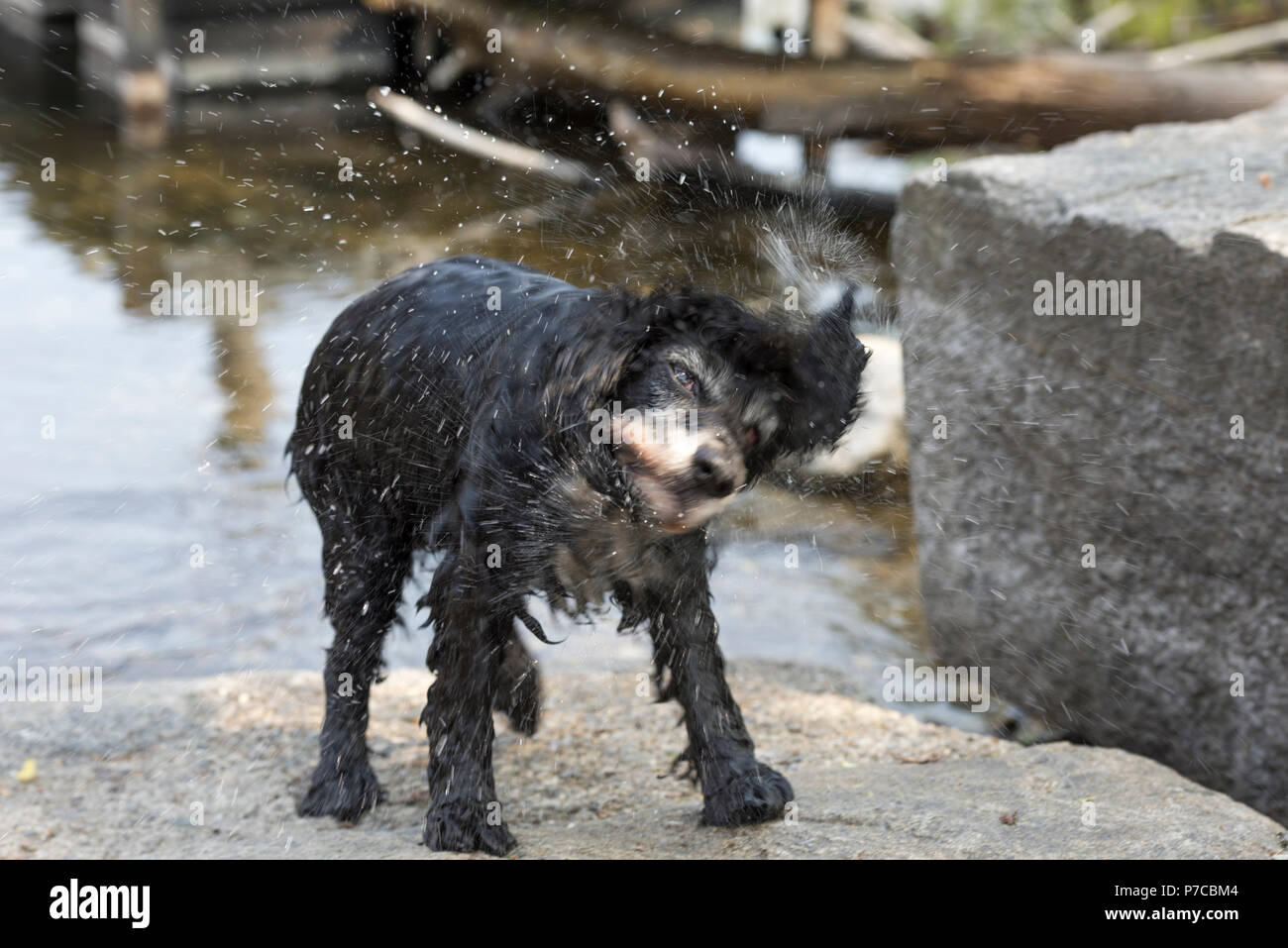 Throw rock water hi-res stock photography and images - Alamy