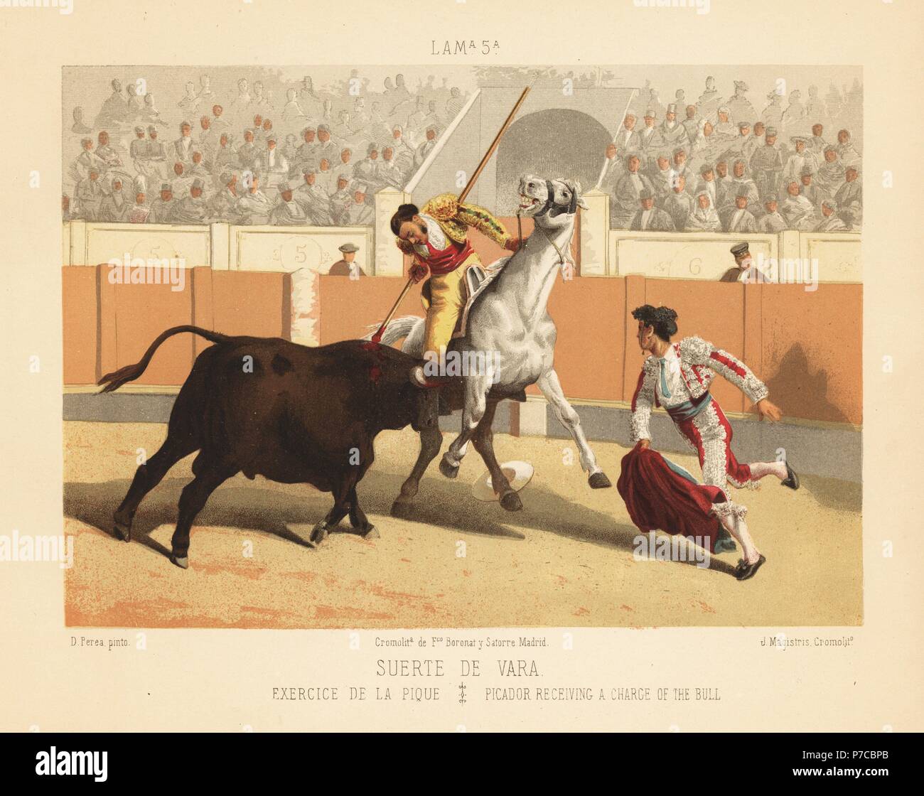 Picador stabbing hi-res stock photography and images - Alamy