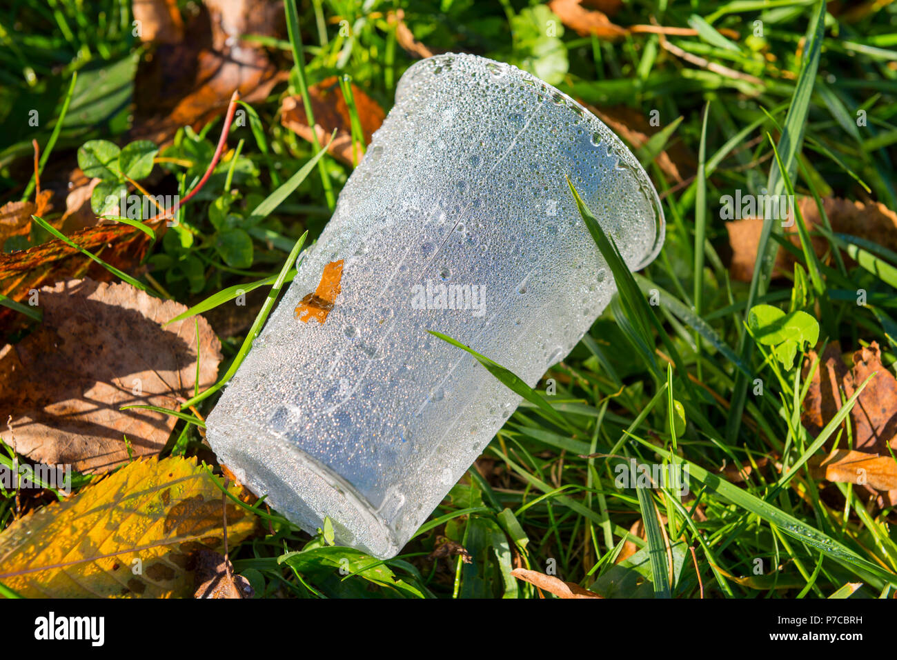 Glass in nature hi-res stock photography and images - Alamy