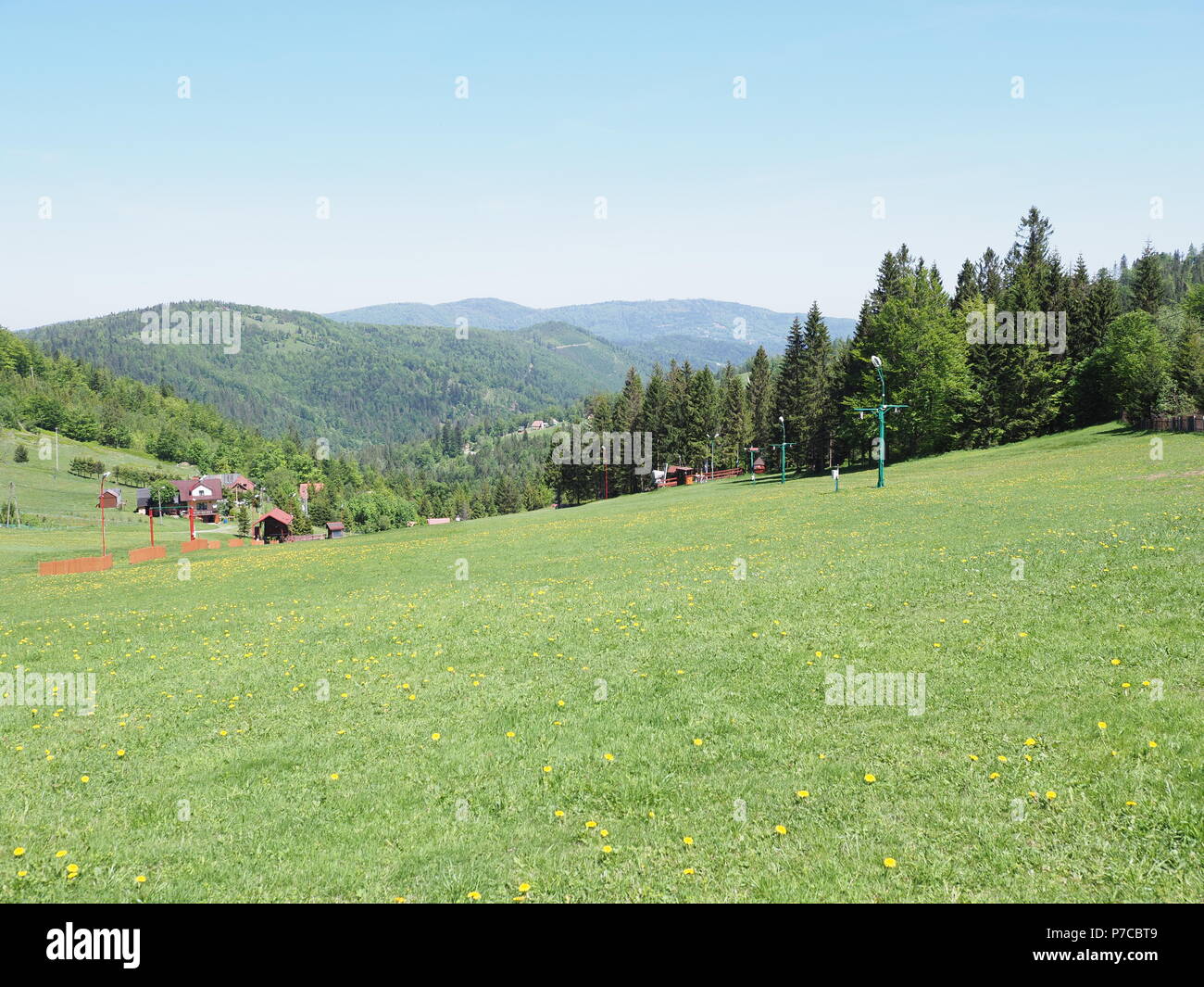 Fabulous landscapes of grassy field and forest at Beskid Mountains ...