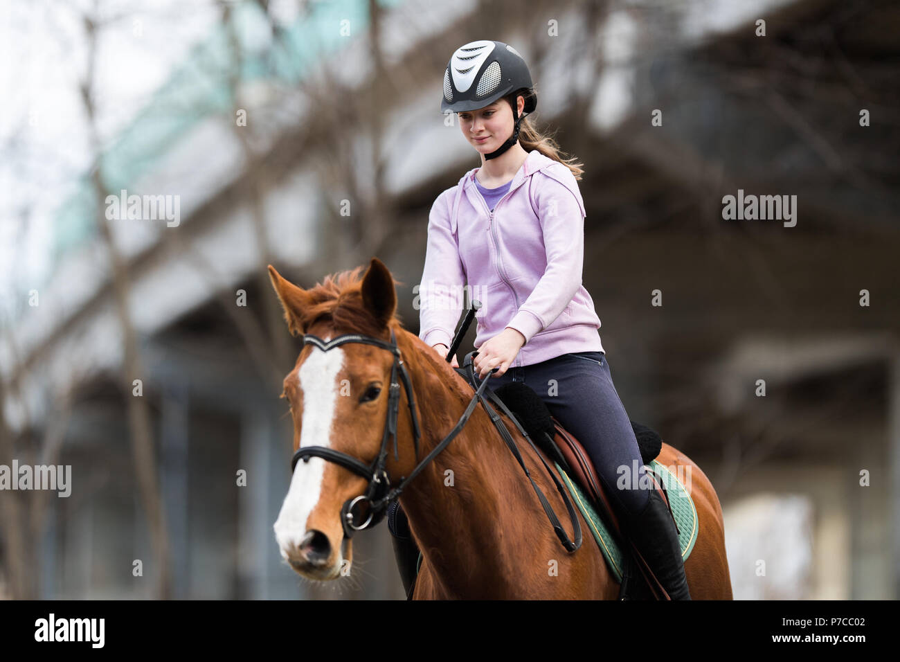 Young pretty girl riding a horse Stock Photo - Alamy