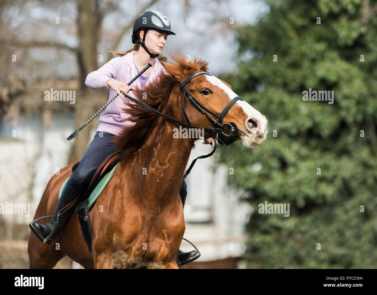 Young pretty girl riding a horse Stock Photo - Alamy