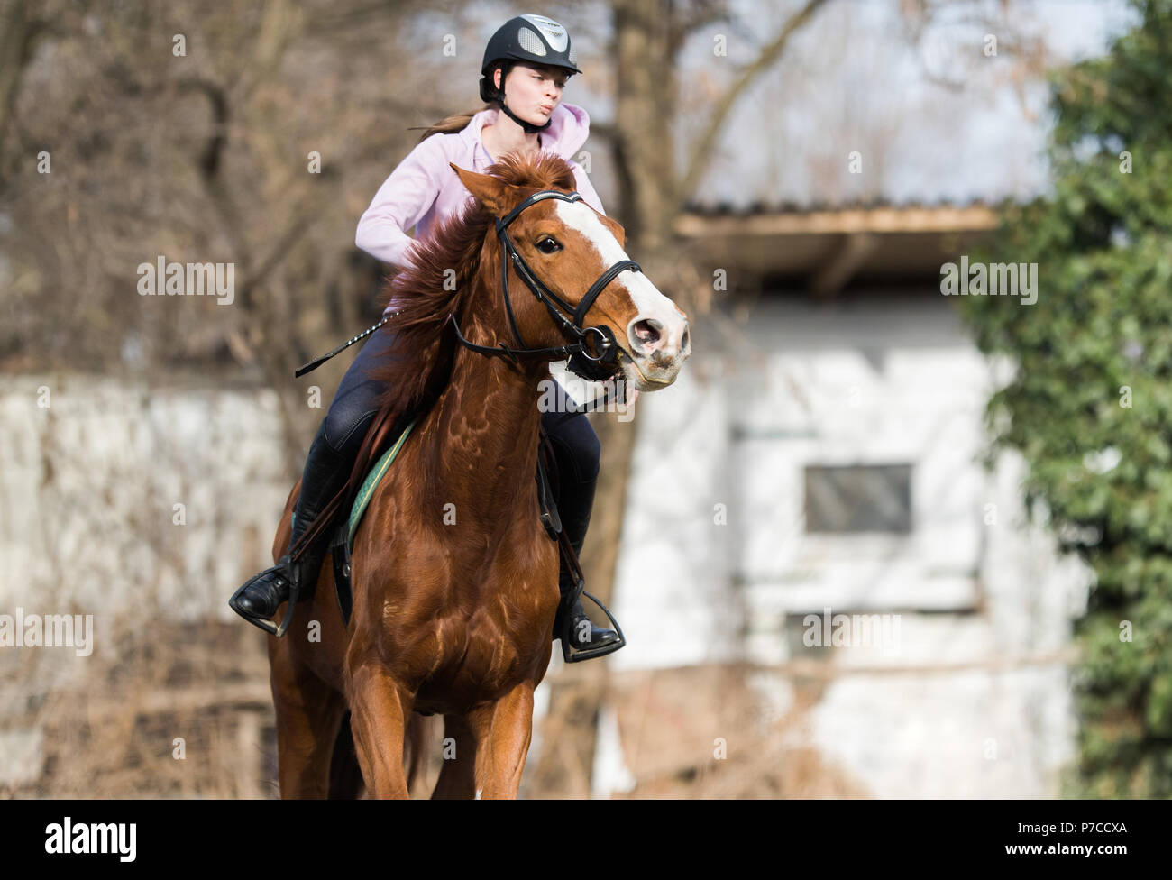 Young pretty girl riding a horse Stock Photo - Alamy