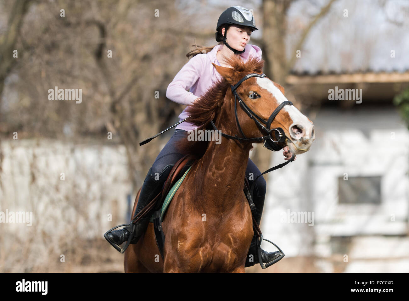 Young pretty girl riding a horse Stock Photo - Alamy