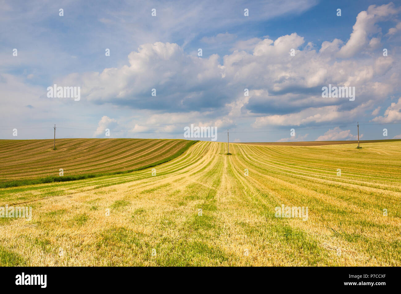 Harvested empty field on the hills at sunset Stock Photo - Alamy