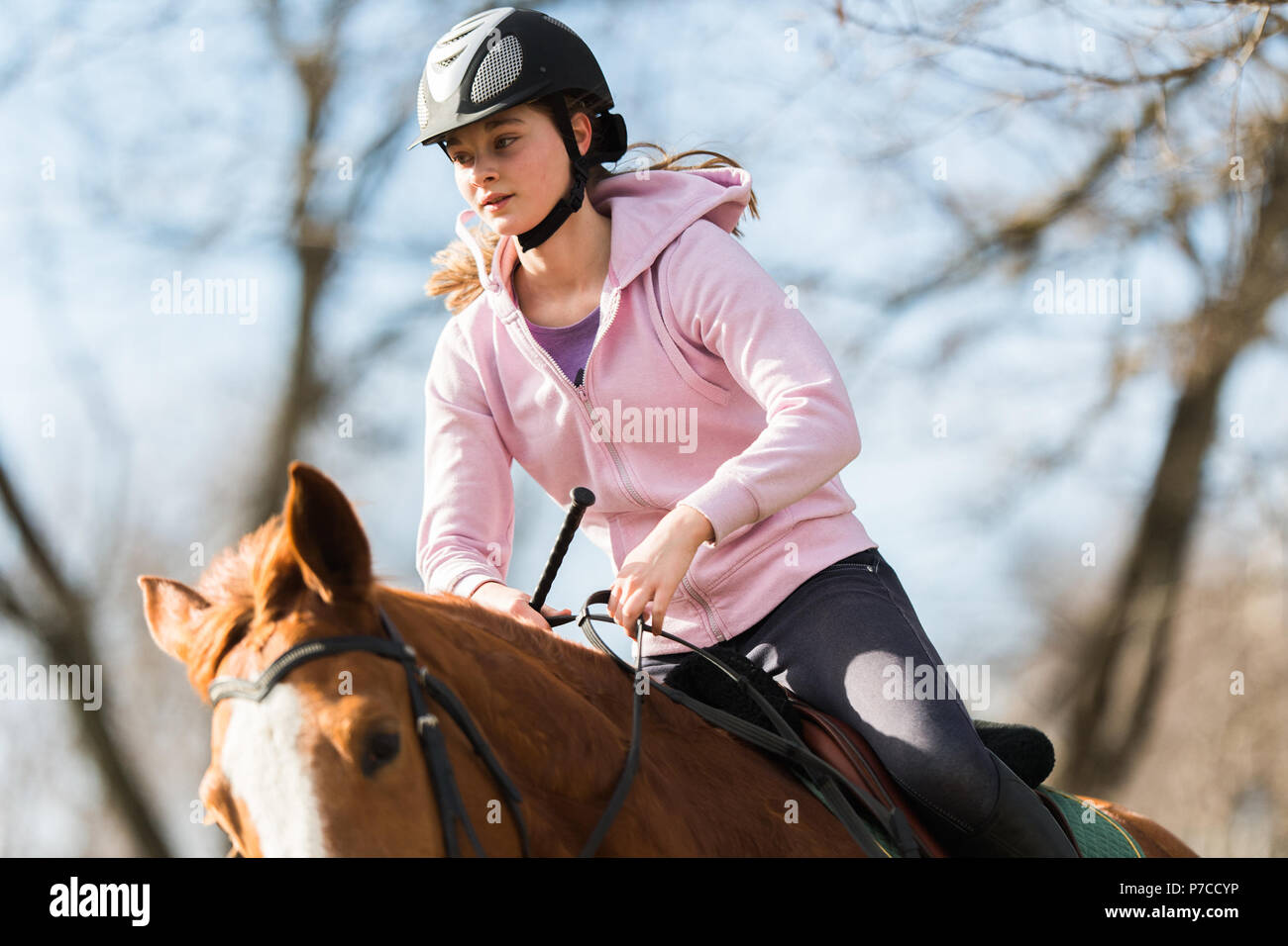 Young pretty girl riding a horse Stock Photo - Alamy