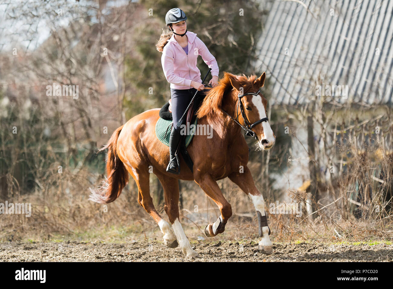 Young pretty girl riding a horse Stock Photo - Alamy