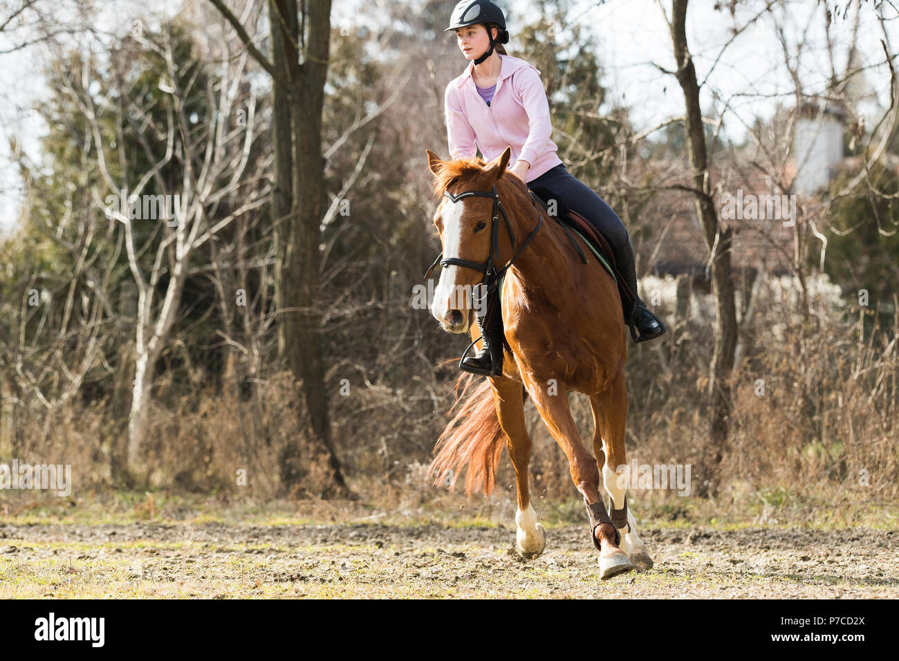 Young pretty girl riding a horse Stock Photo - Alamy