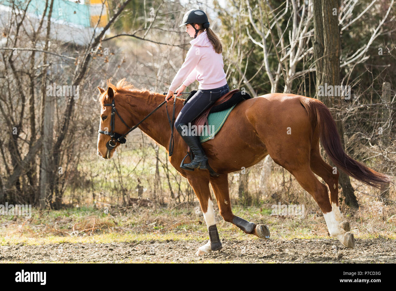 Young pretty girl riding a horse Stock Photo - Alamy