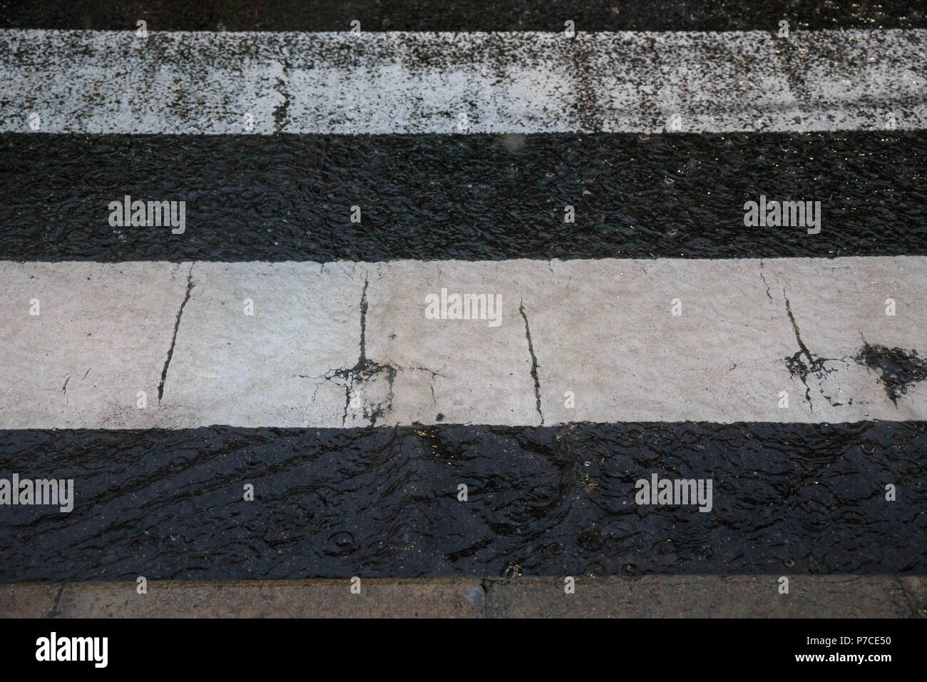 Water flows over white crosswalk lines during heavy rain Stock Photo ...