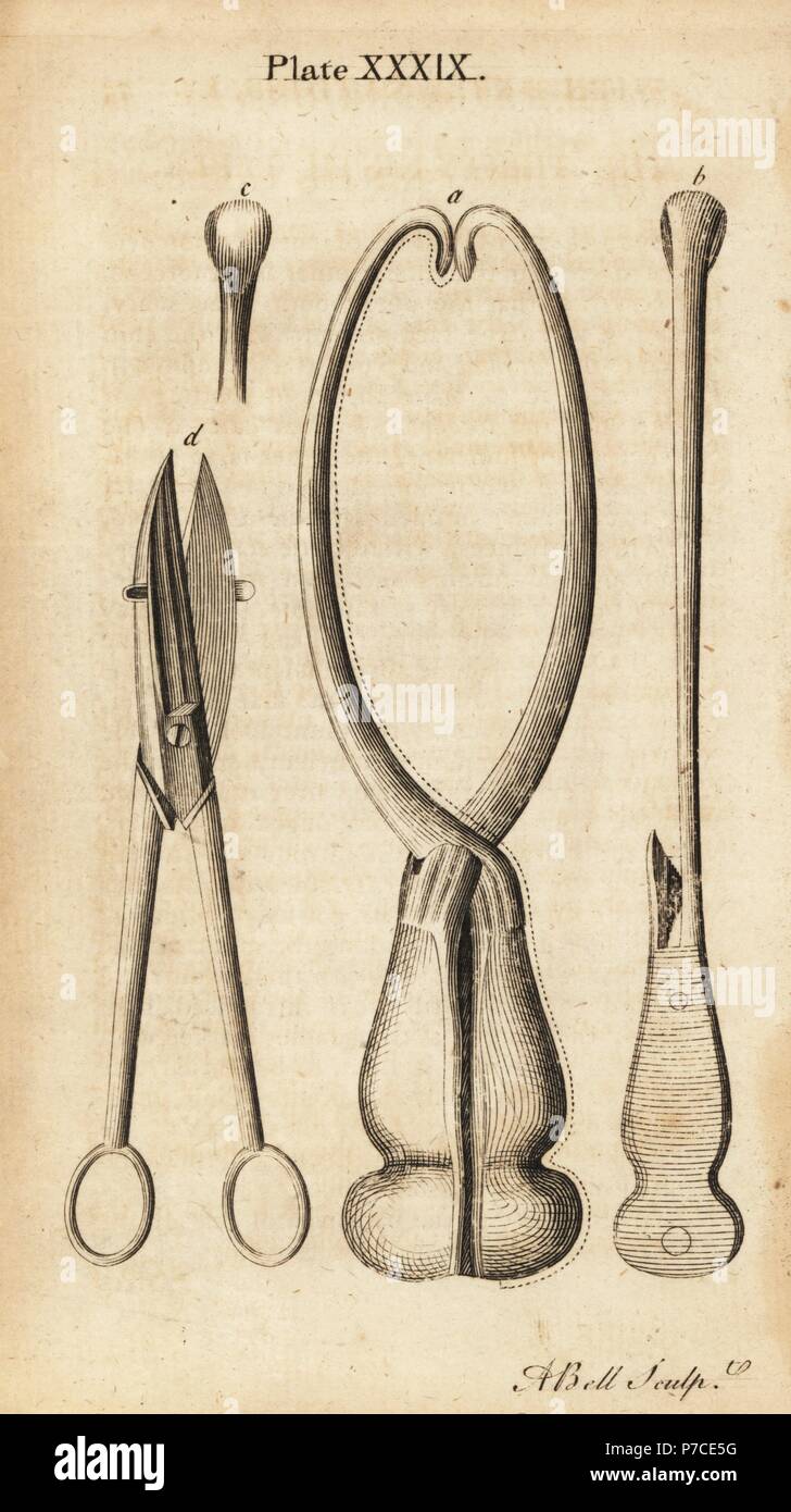 Set of anatomical tables hi-res stock photography and images - Alamy