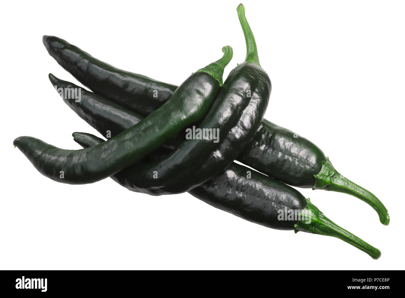 Chilaca pepper store