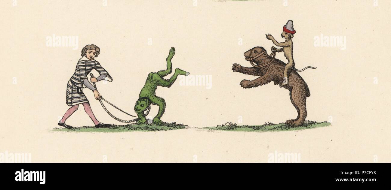Medieval trained animals: a juggler and monkey performing acrobatic ...