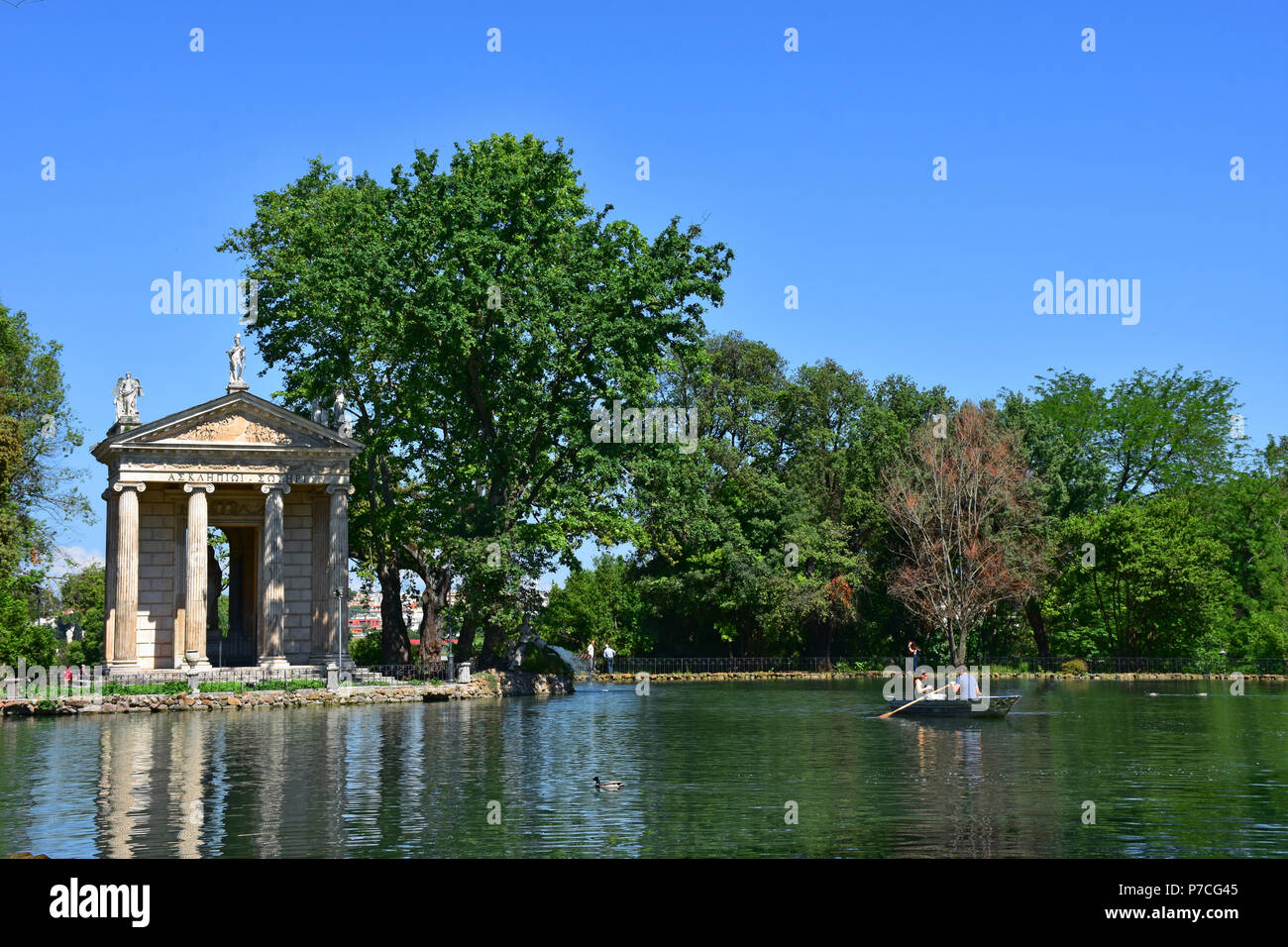 Villa borghese pine trees hi-res stock photography and images - Alamy