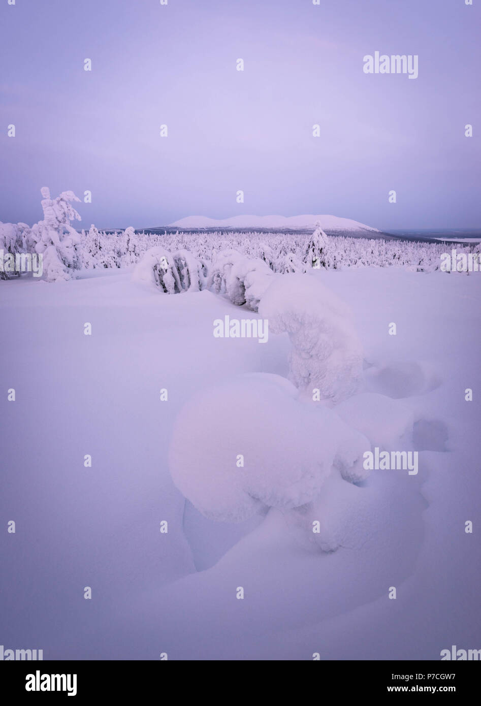 Winter scene from fell Sammaltunturi in Muonio, Finland, Lapland Stock ...