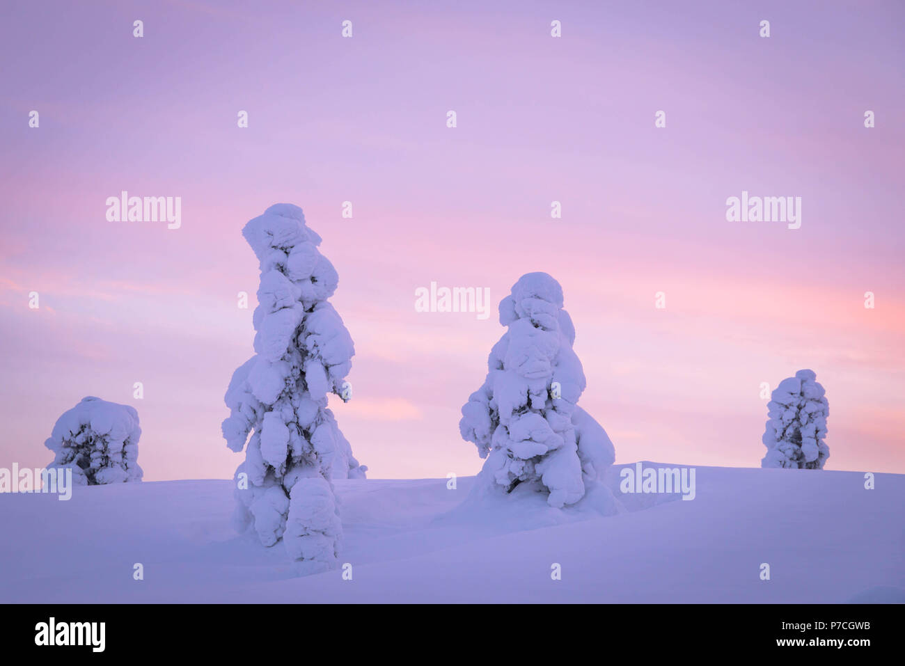 Winter scene from fell Sammaltunturi in Muonio, Finland, Lapland Stock ...