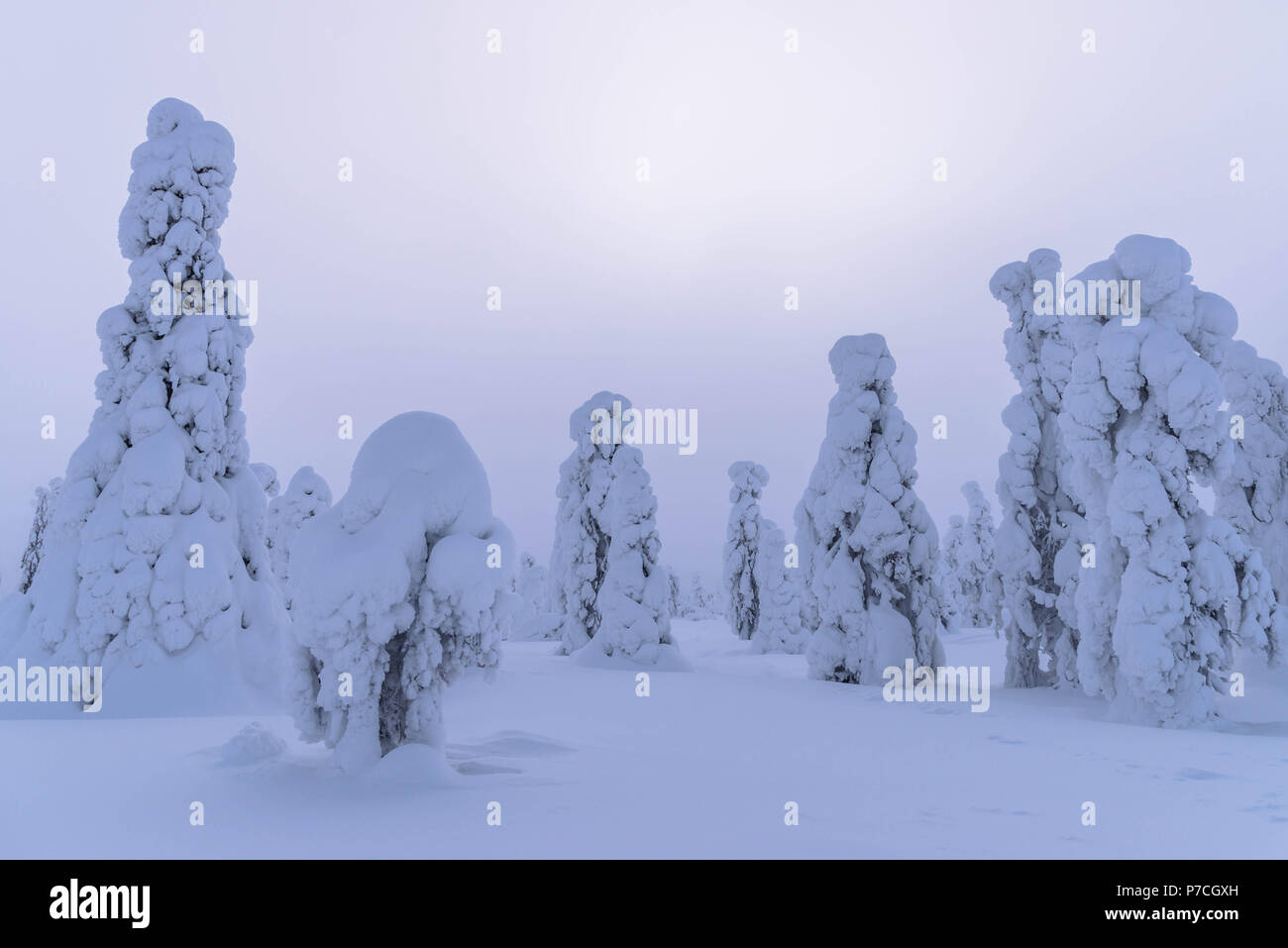Winter scene from fell Sammaltunturi in Muonio, Finland, Lapland Stock ...