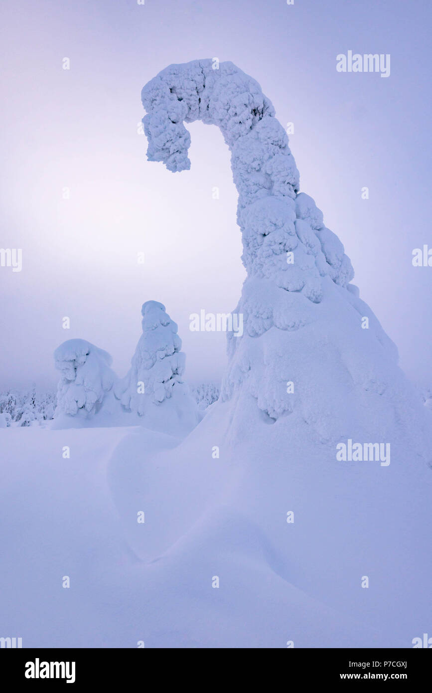 Winter scene from fell Sammaltunturi in Muonio, Finland, Lapland Stock ...