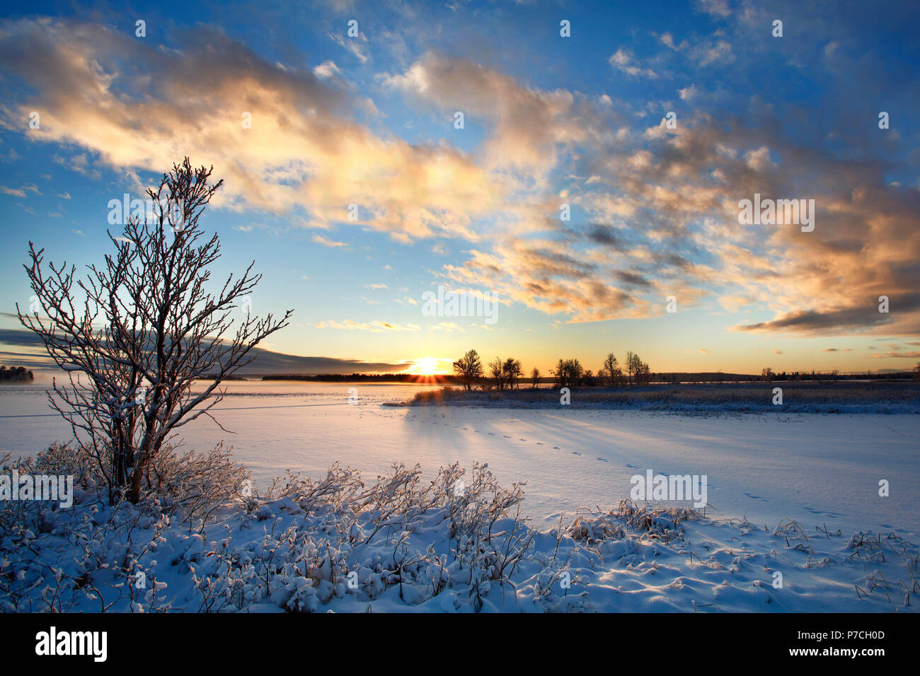 Winter scene at lake Liepimäjärvi in Muonio, Lapland, Finland Stock ...