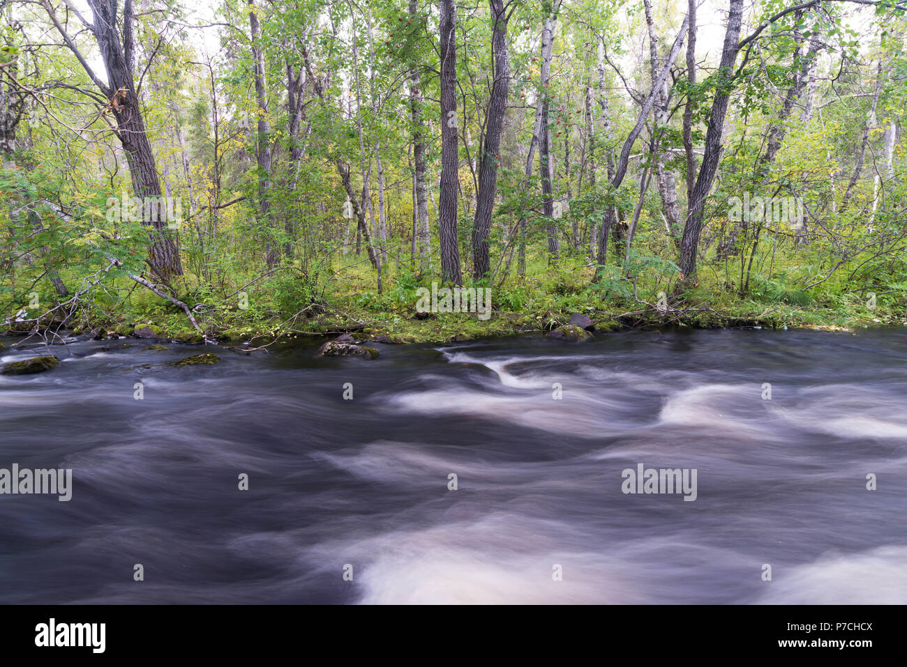 River Keräsjoki in Muonio, Lapland, Finland Stock Photo - Alamy