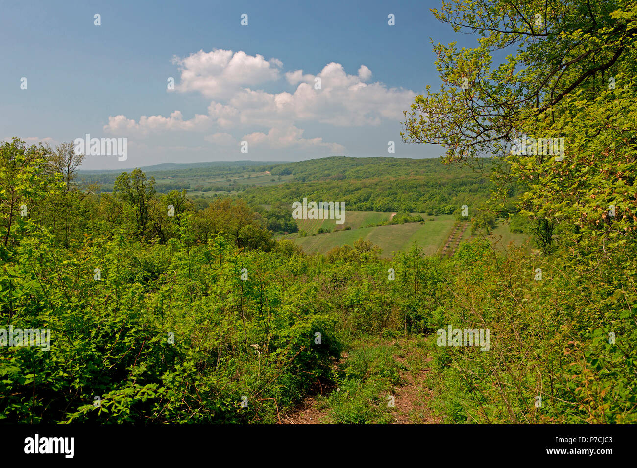 Leitha hi-res stock photography and images - Alamy