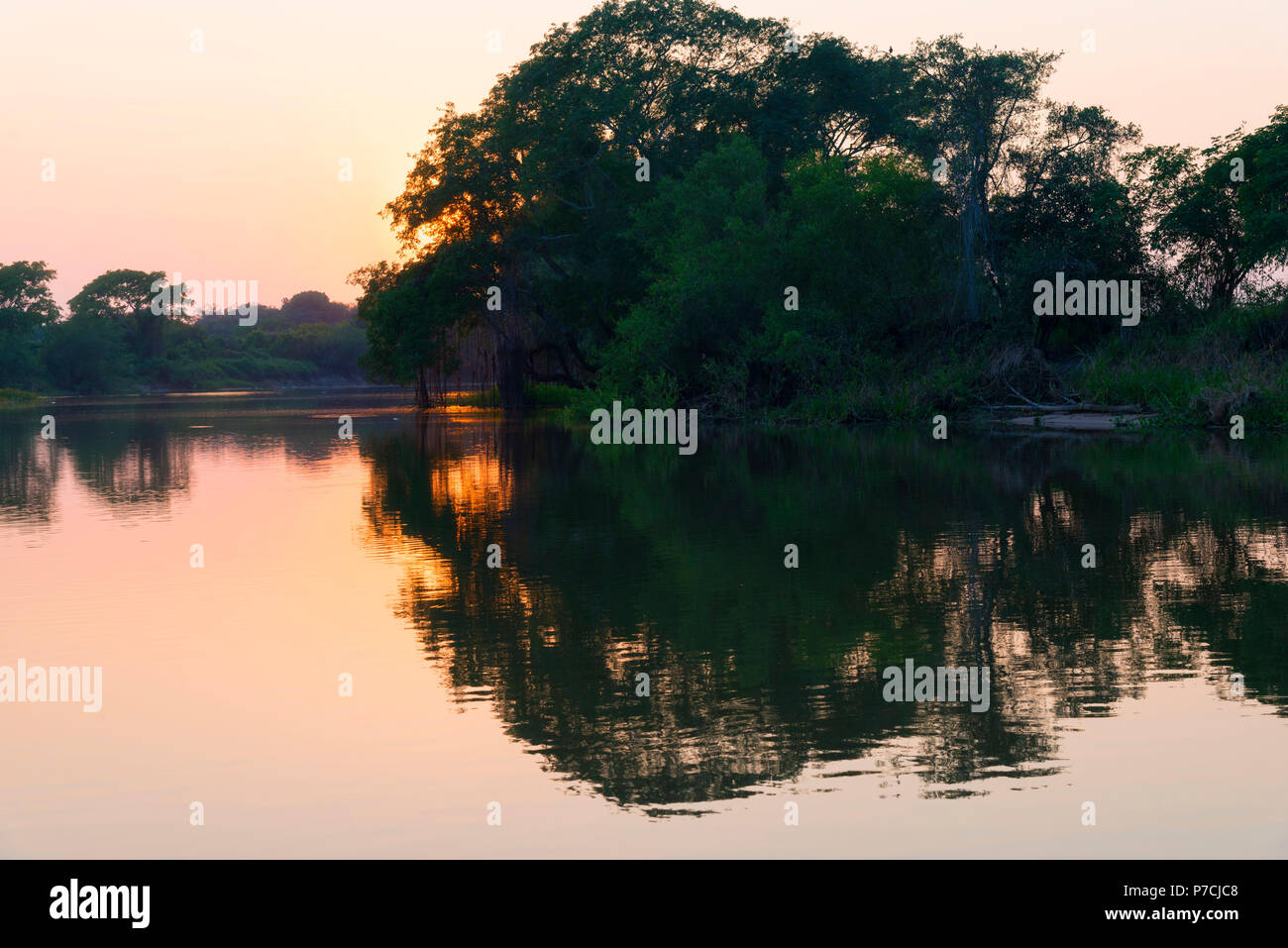 Mato grosso hi-res stock photography and images - Alamy