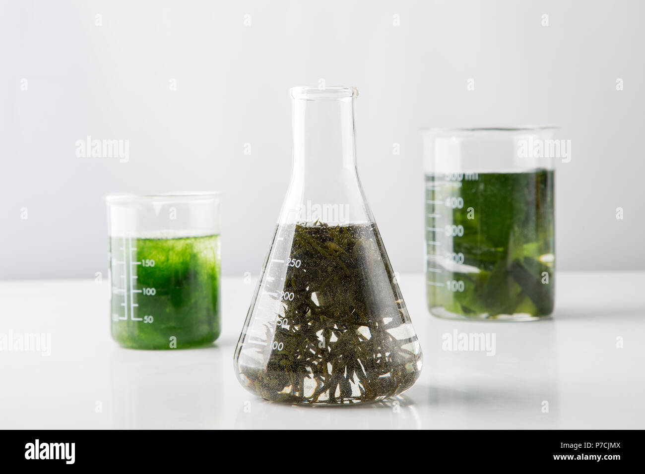 Object photos - seaweed, its rich in vitamins, minerals, and fiber. 116 ...