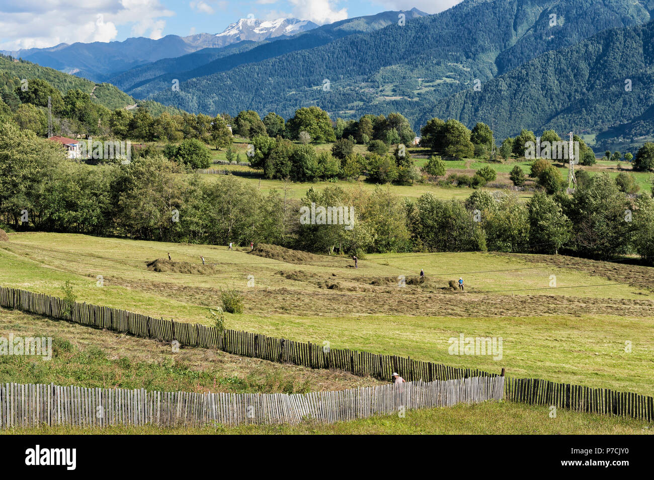 Bucolic region hi-res stock photography and images - Alamy