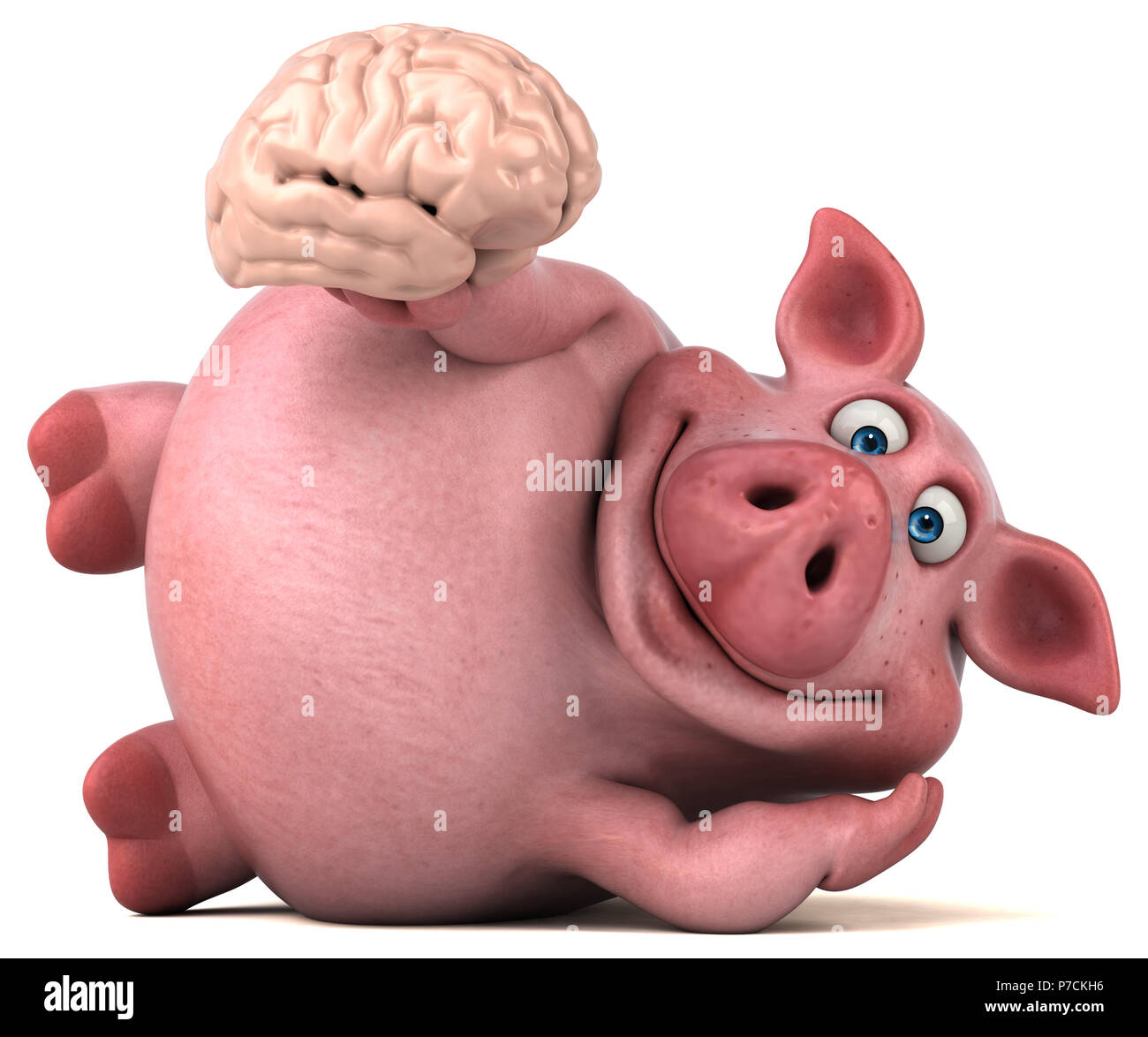 Pig brain illustration Cut Out Stock Images & Pictures - Alamy
