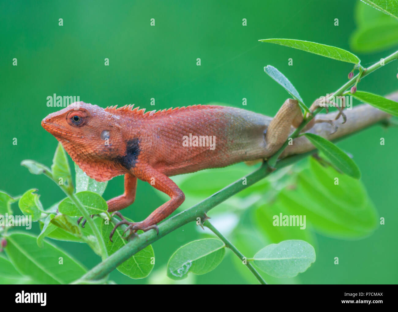 Mekong Delta, Vietnam - one of the stunning things about Vietnam is the ...