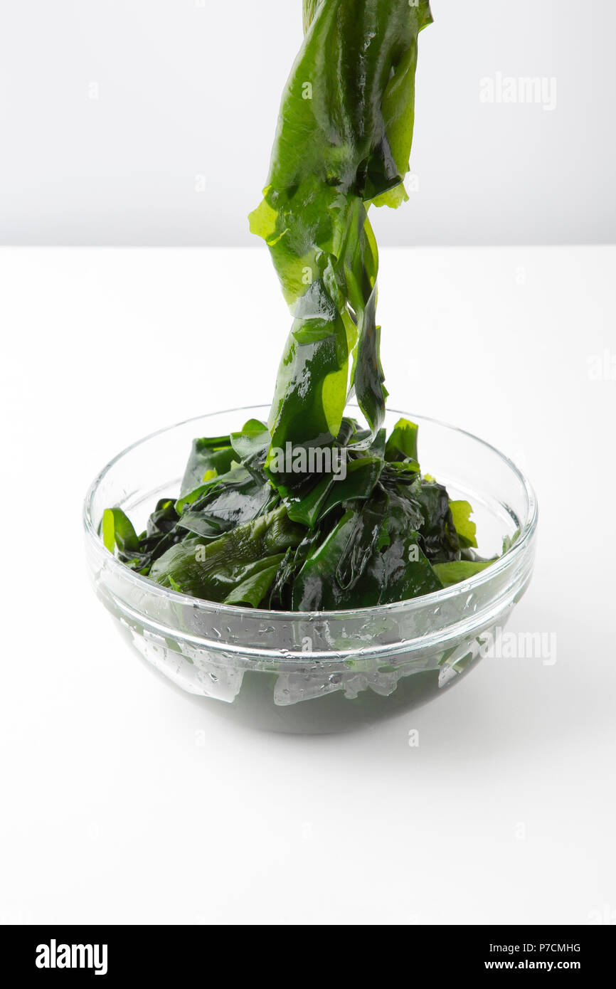 Object photos - seaweed, its rich in vitamins, minerals, and fiber. 087 ...
