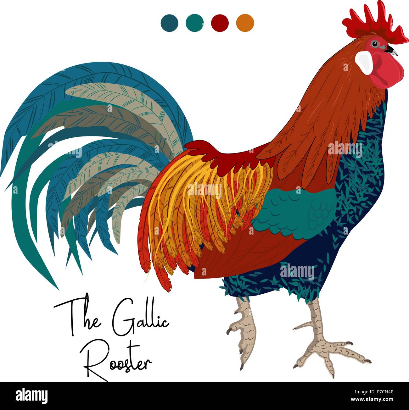 detailed vector image of gallic rooster with sign isolated on white backgound Stock Vector Image ...